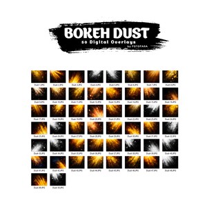 50 Dust Overlay Bokeh Glitter Overlays Floating Dust Falling Sunlight ...
