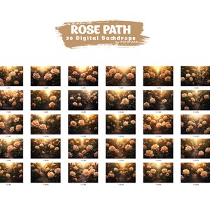 Rose Path Digital Backdrop Maternity Digital Backdrop Flower Garden Backdrop Summer Portait ...