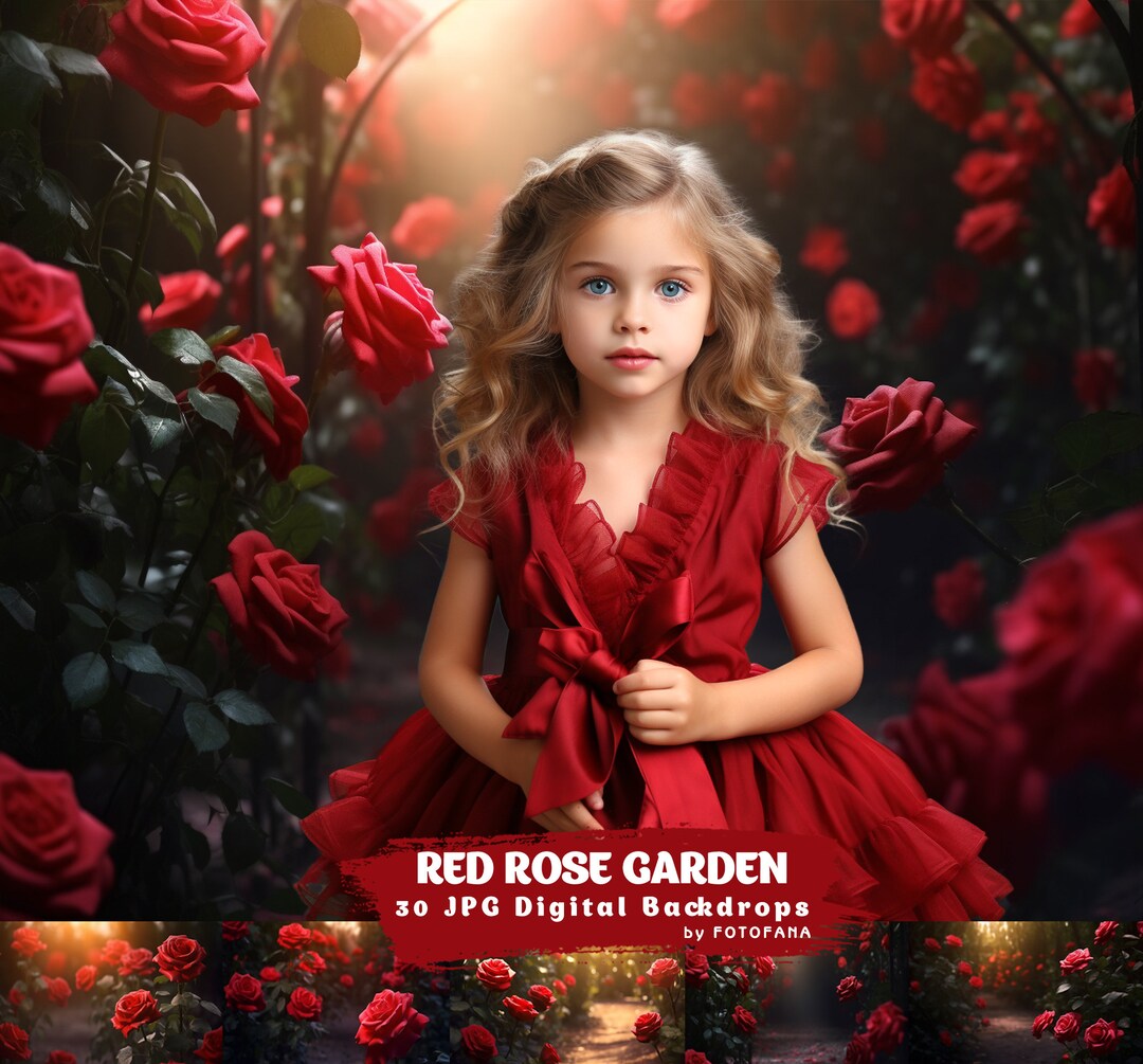 Red Rose Garden Digital Backdrop Portait Summer Flower Photography ...