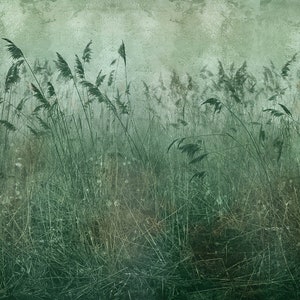 Vintage Green Tall Grass Wallpaper, Botanical Wallpaper, Peel and Stick ...