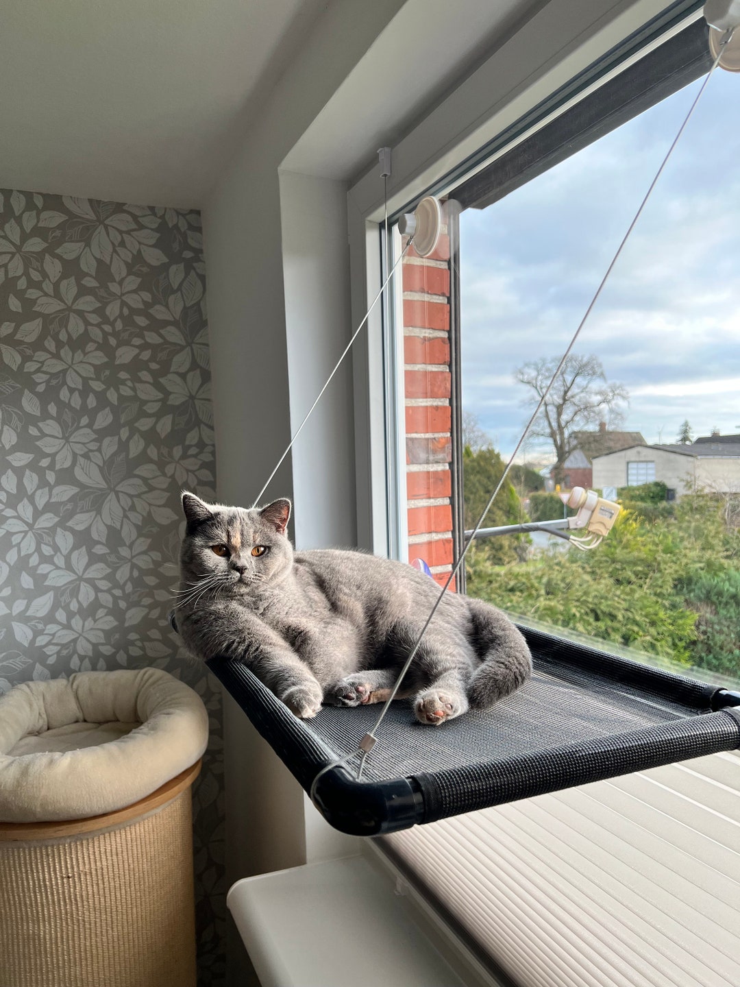 Window Lounger for Cats / Cat Lounger / Cat Bed / Hanging Cat Bed ...
