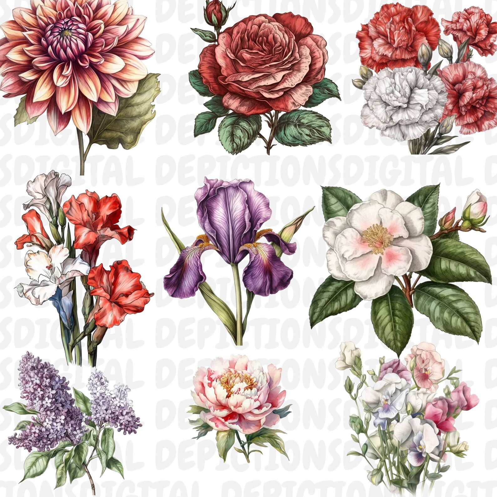 Famous Flowers Clipart Pack | Floral Bundles, Birthflowers, Beautiful ...