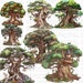 Enchanted Trees Clipart Pack | Fairy Enchanted Trees, Beautiful Trees ...