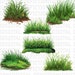Patch of Grass Clipart Pack | Grass Patch, Grass Clipart, Grass and ...