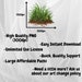 Patch of Grass Clipart Pack | Grass Patch, Grass Clipart, Grass and ...