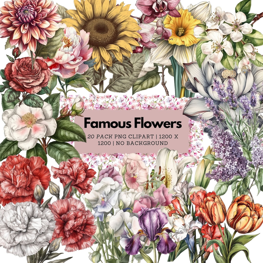 Famous Flowers Clipart Pack | Floral Bundles, Birthflowers, Beautiful ...