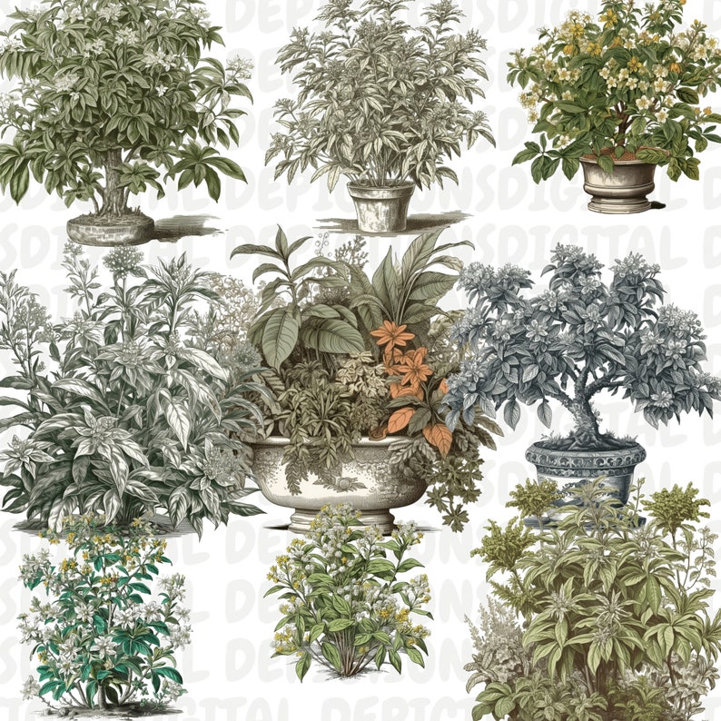 Vintage Botanical Plants Clipart Pack | Vintage Flowers, Vintage Potted ...