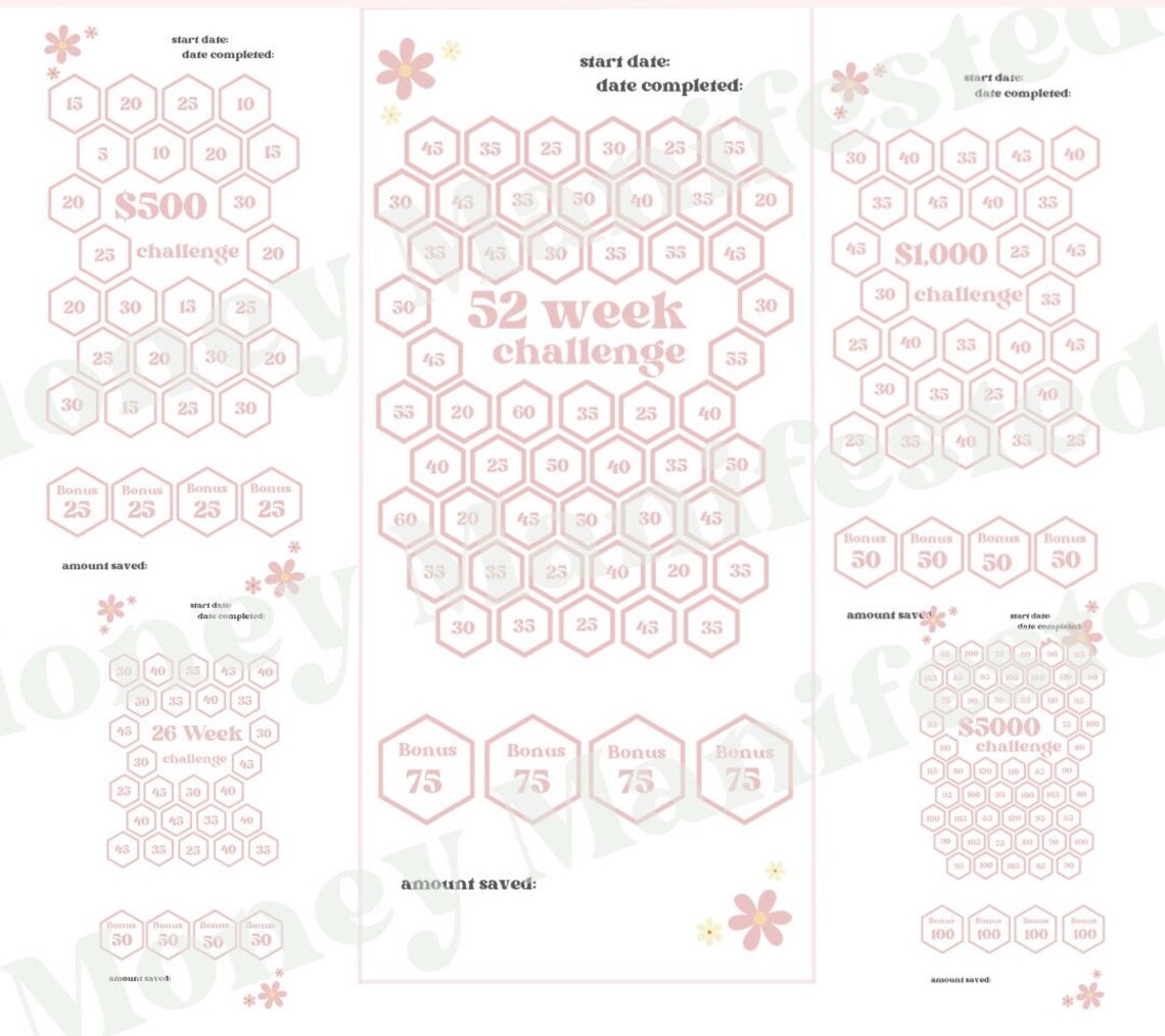 Laminated Pink Savings Challenge Bundle Set of 5 Savings Challenges ...