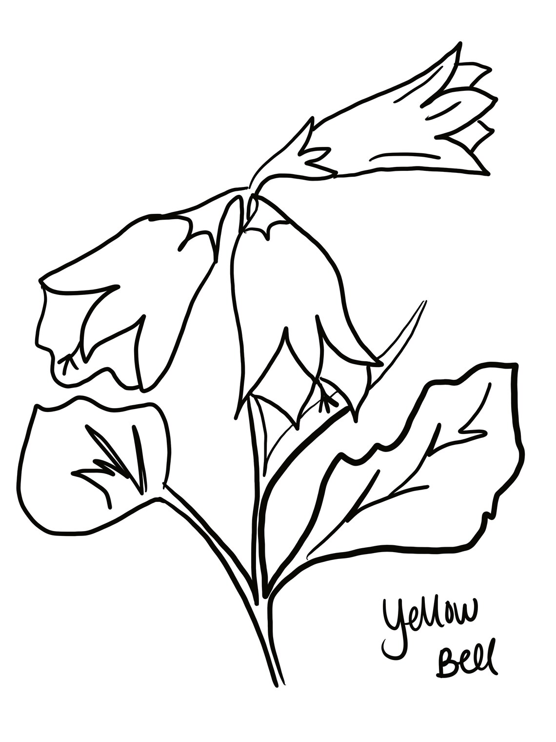 26 Alphabet Flower Coloring Pages for Adults: Set 1, 26 Printable Pages ...