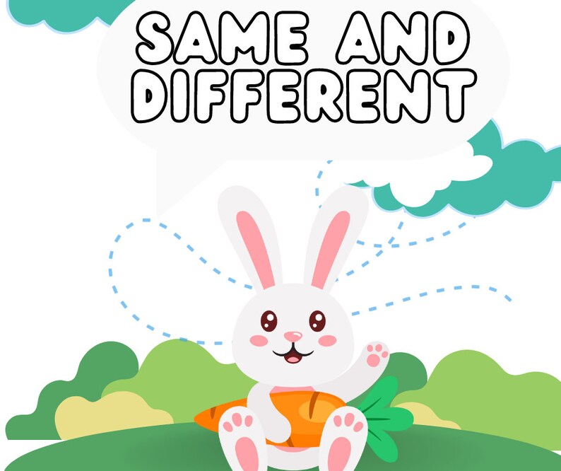Same or Different Activity for Kids Printable SK, JK and Gr 1 Printable ...