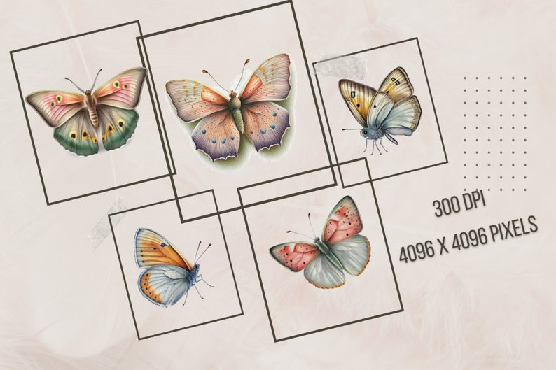 Butterfly Clipart Set PNG Clipart Butterfly Spring Clipart - Etsy