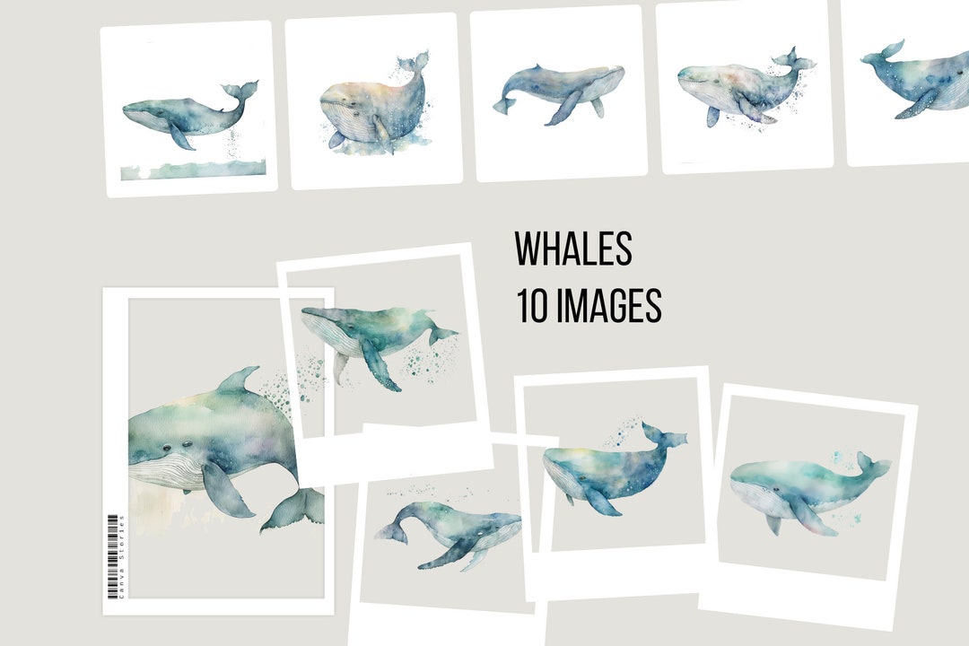 Watercolor Whale Clipart Set Ocean Clip Art Underwater Art PNG Clipart ...