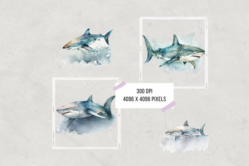 Shark Clipart Set PNG Clipart Shark Underwater Clipart Ocean Clip Art ...