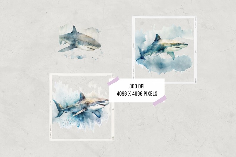 Shark Clipart Set PNG Clipart Shark Underwater Clipart Ocean Clip Art ...