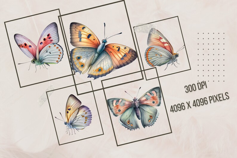 Butterfly Clipart Set PNG Clipart Butterfly, Spring Clipart, Nursery ...