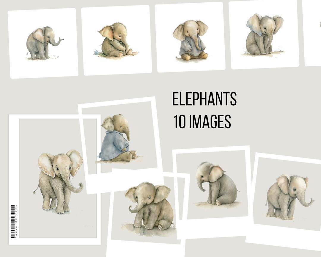 Watercolor Elephant Clipart Bundle PNG Clip Art Elephant, Instant ...