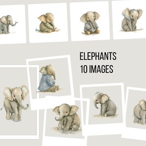 Watercolor Elephant Clipart Bundle PNG Clip Art Elephant, Instant ...