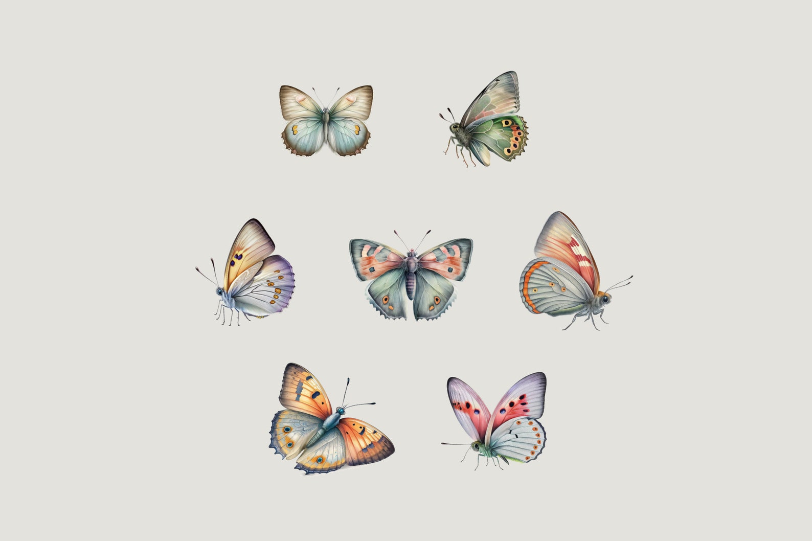 Butterfly Clipart Set PNG Clipart Butterfly, Spring Clipart, Nursery ...