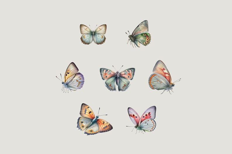 Butterfly Clipart Set PNG Clipart Butterfly Spring Clipart - Etsy