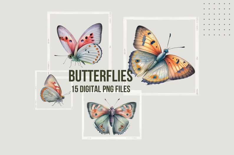 Butterfly Clipart Set PNG Clipart Butterfly Spring Clipart - Etsy