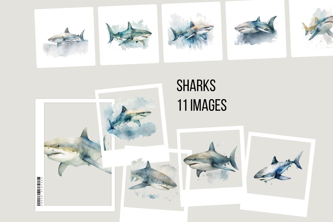Shark Clipart Set PNG Clipart Shark Underwater Clipart Ocean - Etsy ...
