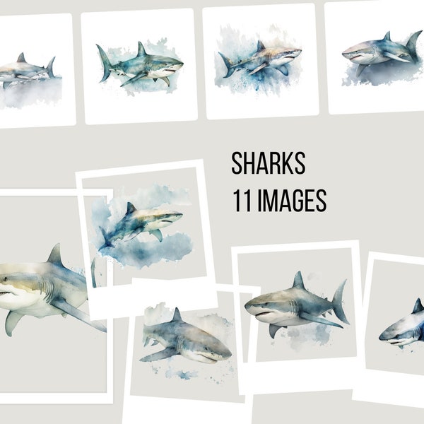 Shark Clipart - Etsy