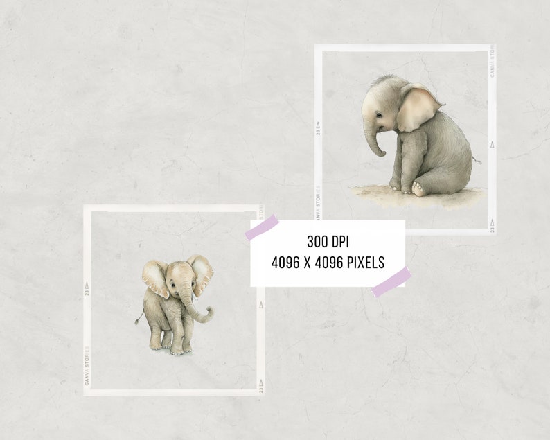 Watercolor Elephant Clipart Bundle PNG Clip Art Elephant - Etsy