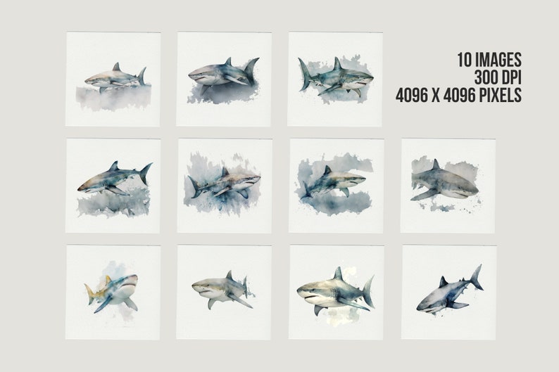 Shark Clipart Set PNG Clipart Shark Underwater Clipart Ocean Clip Art ...