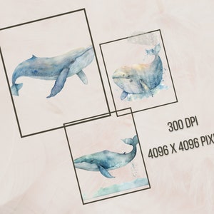 Watercolor Whale Clipart Set Ocean Clip Art Underwater Art PNG Clipart ...