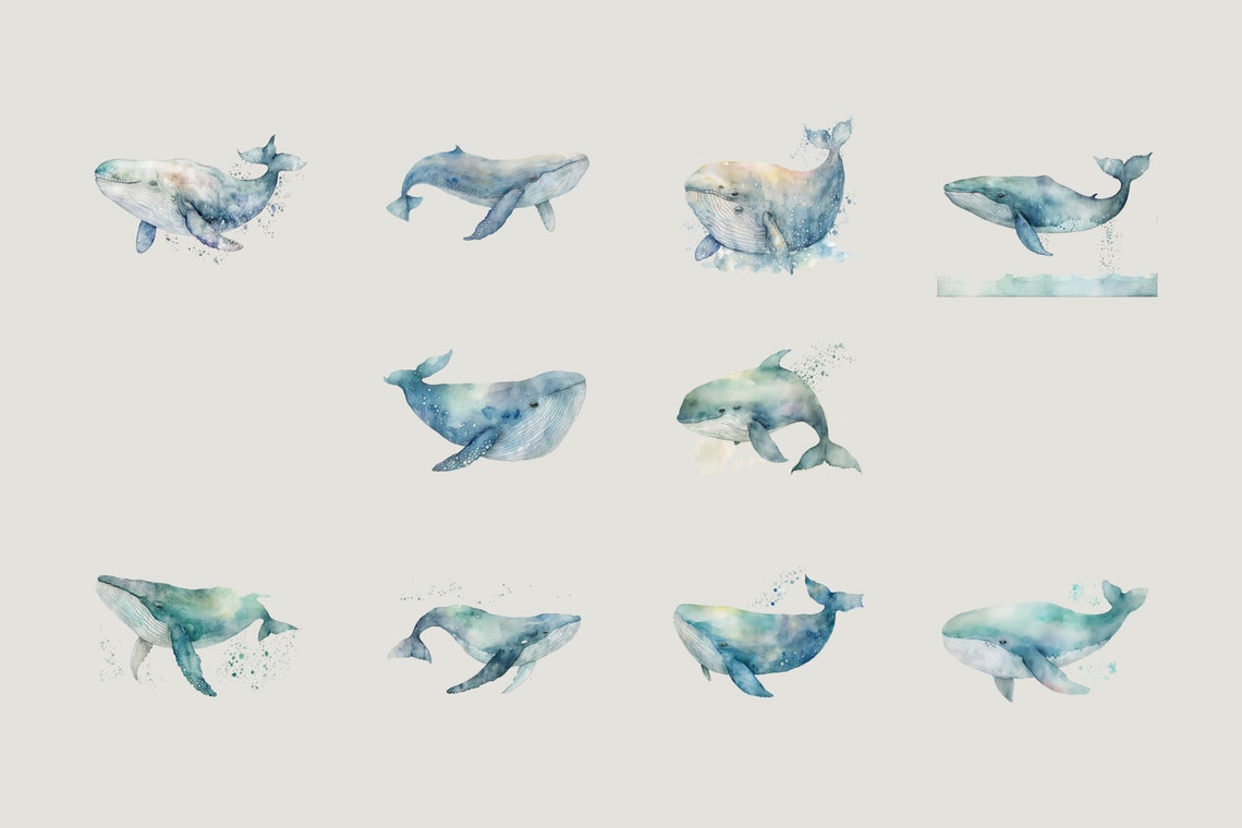 Watercolor Whale Clipart Set Ocean Clip Art Underwater Art PNG Clipart ...