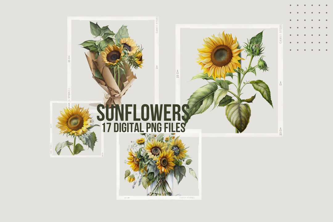Buy Sunflower Clipart Set PNG Sunflower Wall Art Digital Sunflower ...