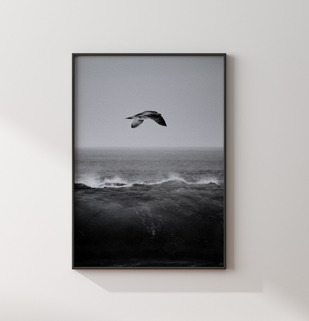 Fine Art Photography, Surfing Seagull, Sea Life, Black and White Print ...