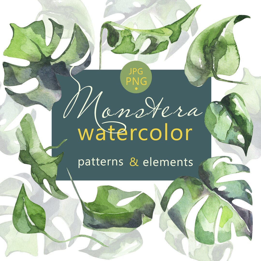 Watercolor Monstera Leaf Clipart: PNG Plant Patterns (digital File) - Etsy