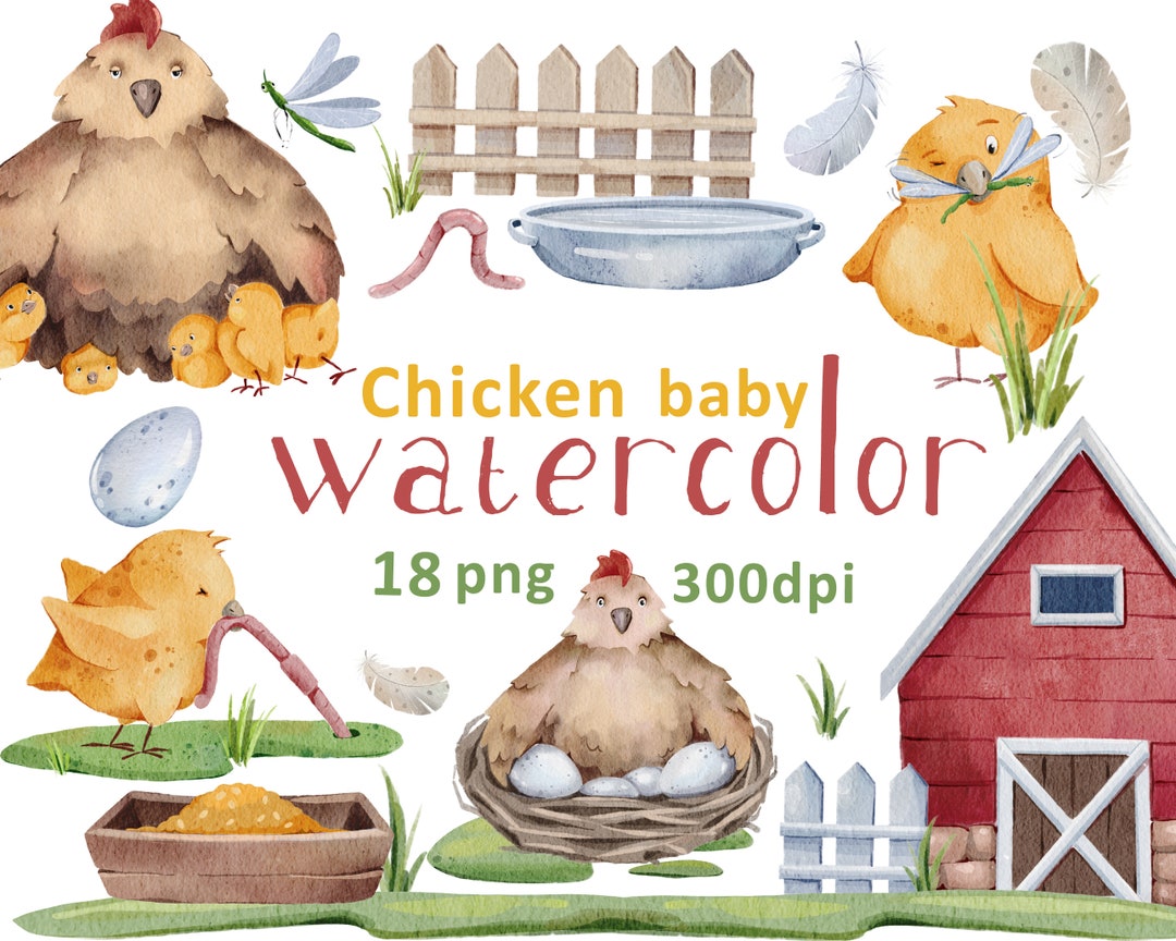 Watercolor Chicken Baby Clipart Cute Chick Clipart Watercolor Summer ...