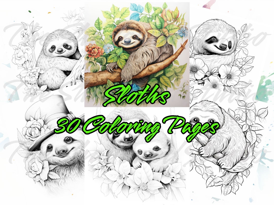 Sloths 30 Coloring Pages, Cute, Nature, Relaxing, Fun, Greyscale Images ...