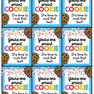 Smart Cookie Testing Day Tags: Printable Snack Tag (digital Download ...