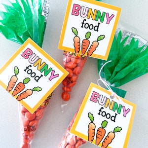 Easter Bunny Food, Treat Gift Tag, Digital Download Printable, Class ...