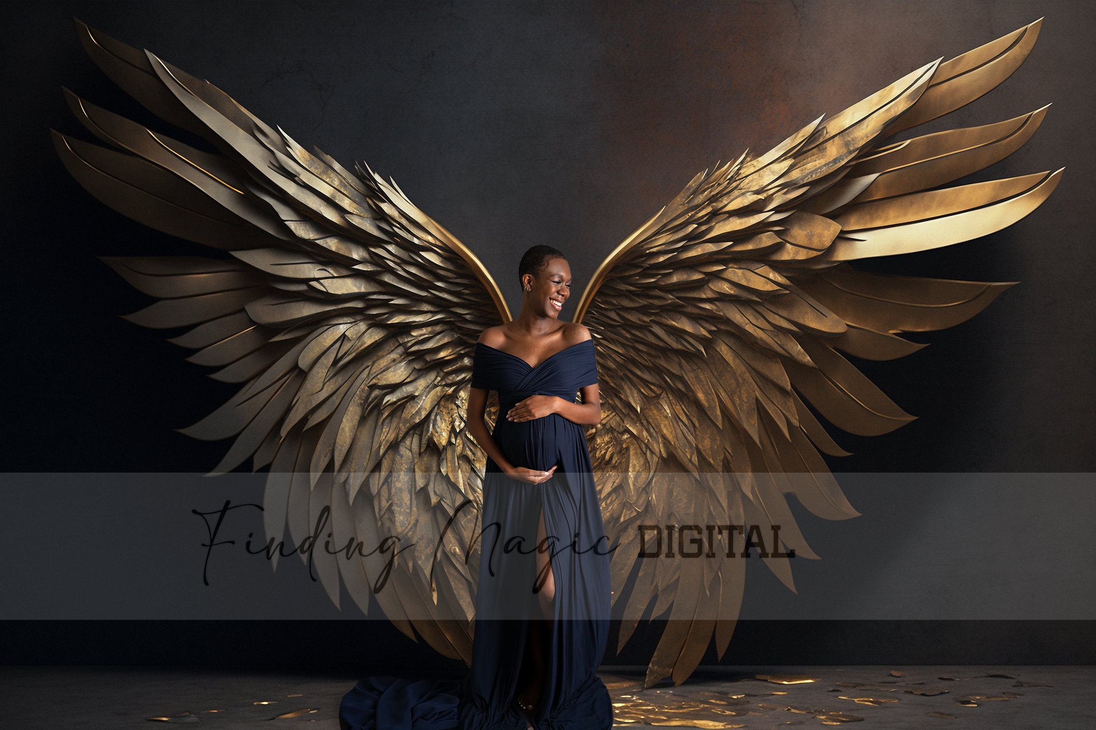 20 Pack Fine Art Digital Backdrop, Wings in a Variety of Colors, Great ...