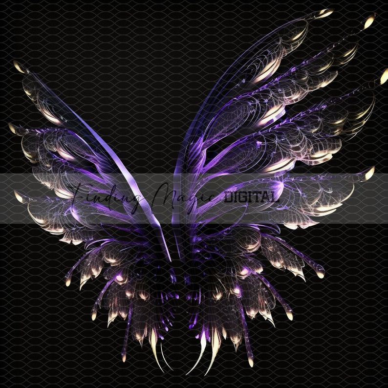 15 Pack Fairy Wing Overlays, Fine Art Digital Backdrop, Great for ...