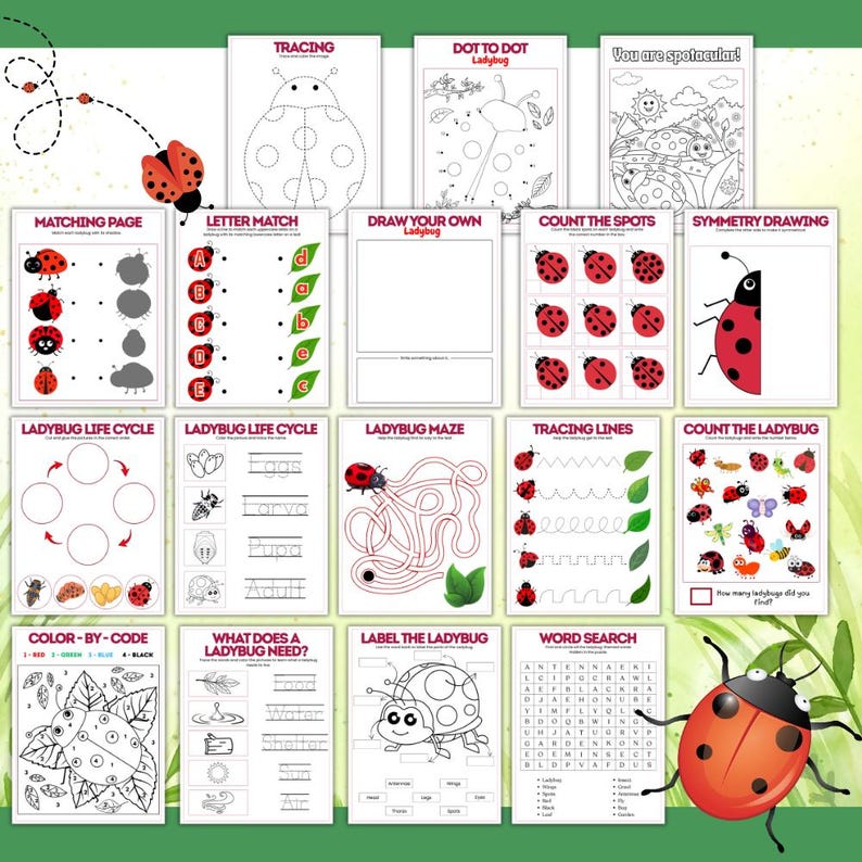 Life Cycle of a Ladybug Activity Bundle for Kids Classroom Daycare Home ...