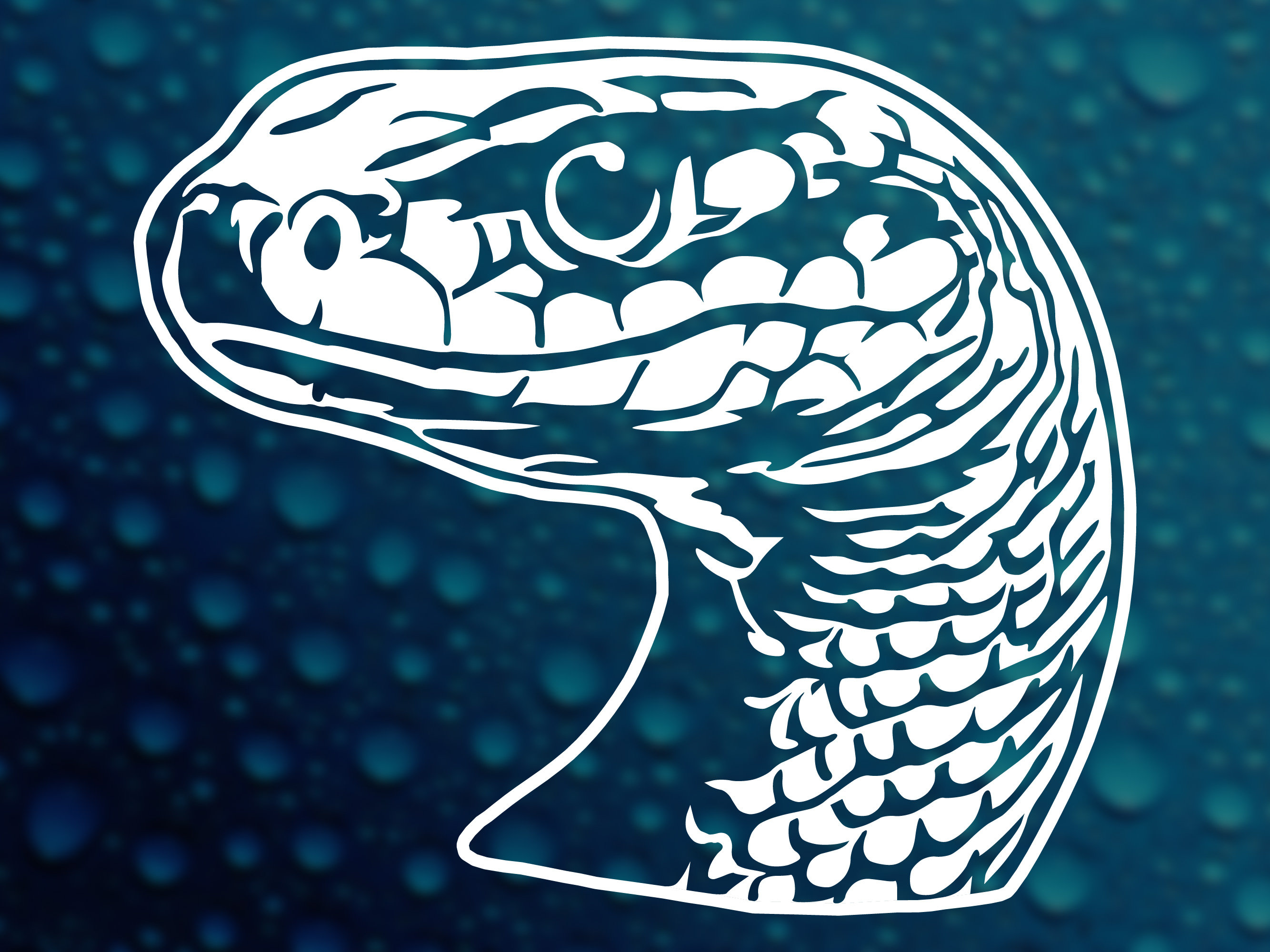 Snake Decal Reptile Silhouette Vinyl Art Sticker for Laptop, Car Window ...