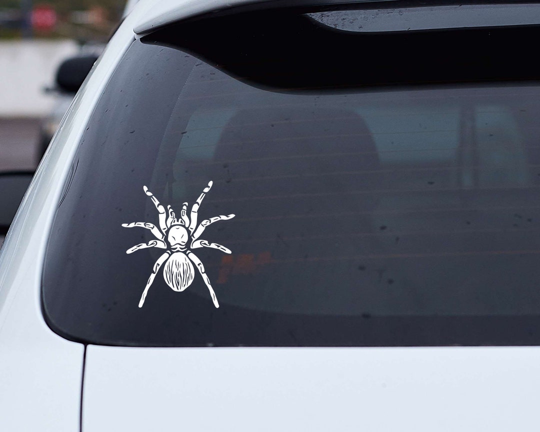 Tarantula Decal · Spider Vinyl Art Sticker for Car, Window, Laptop ...