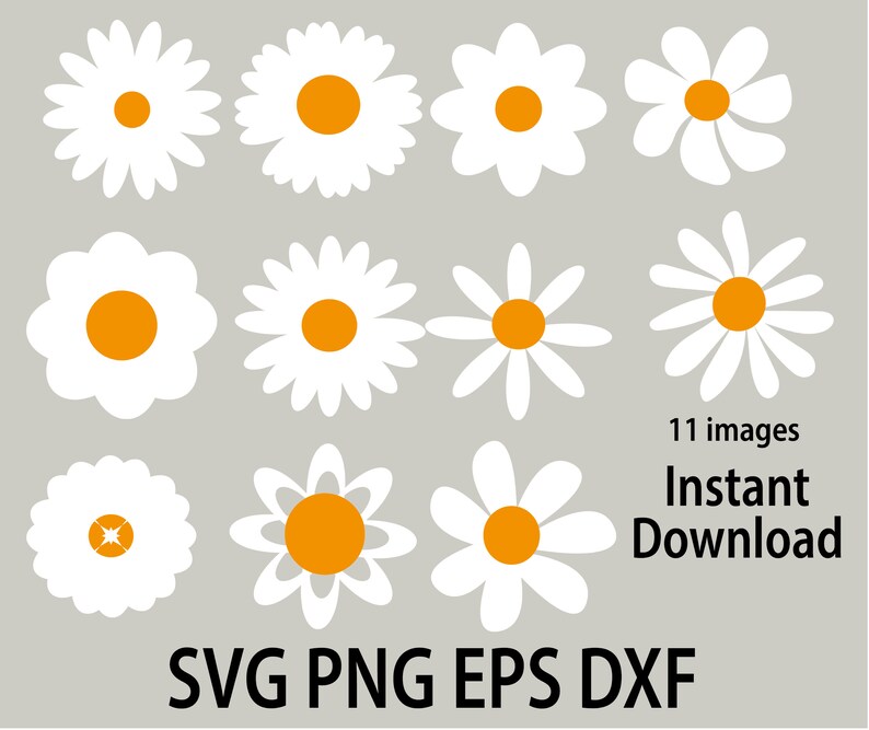 Daisy Svg Bundle, Flower Svg Files for Cricut, Daisy Bundle Svg Flower ...