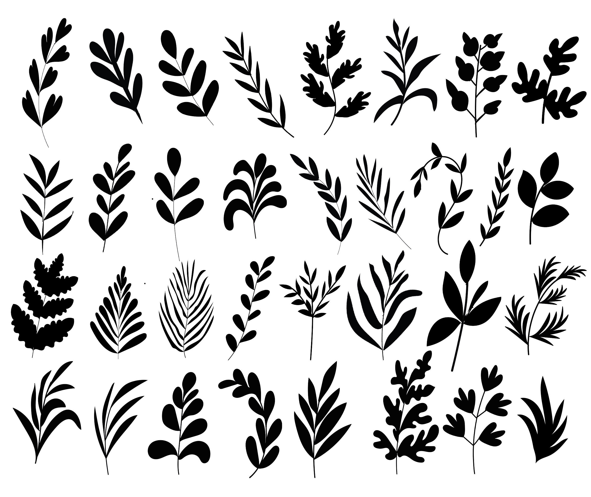 Hojas SVG, hojas dibujadas a mano SVG, rama svg, archivos de corte ...