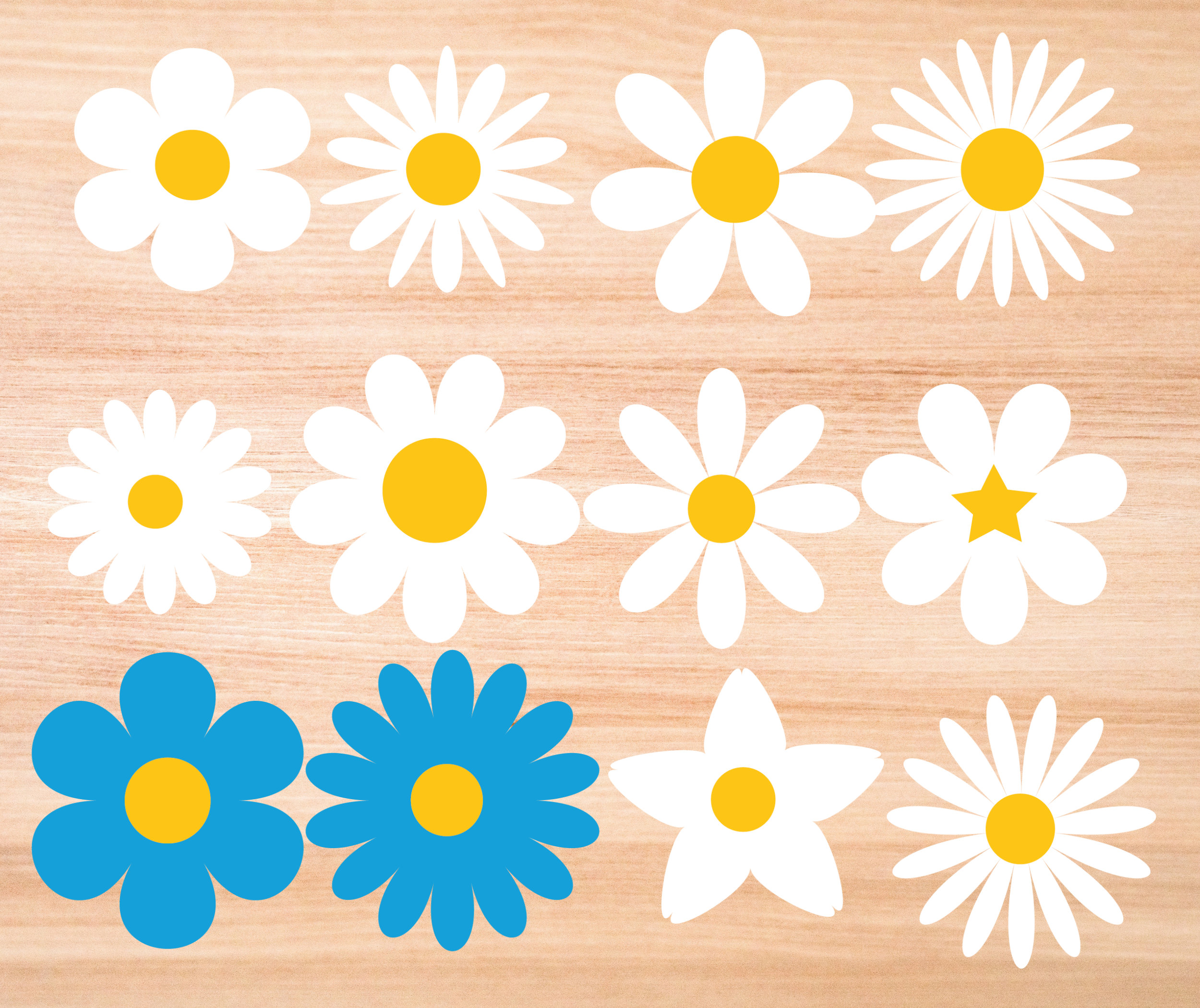 Daisy Svg Bundle, Flower Svg Files for Cricut,spring,summer, Clipart ...