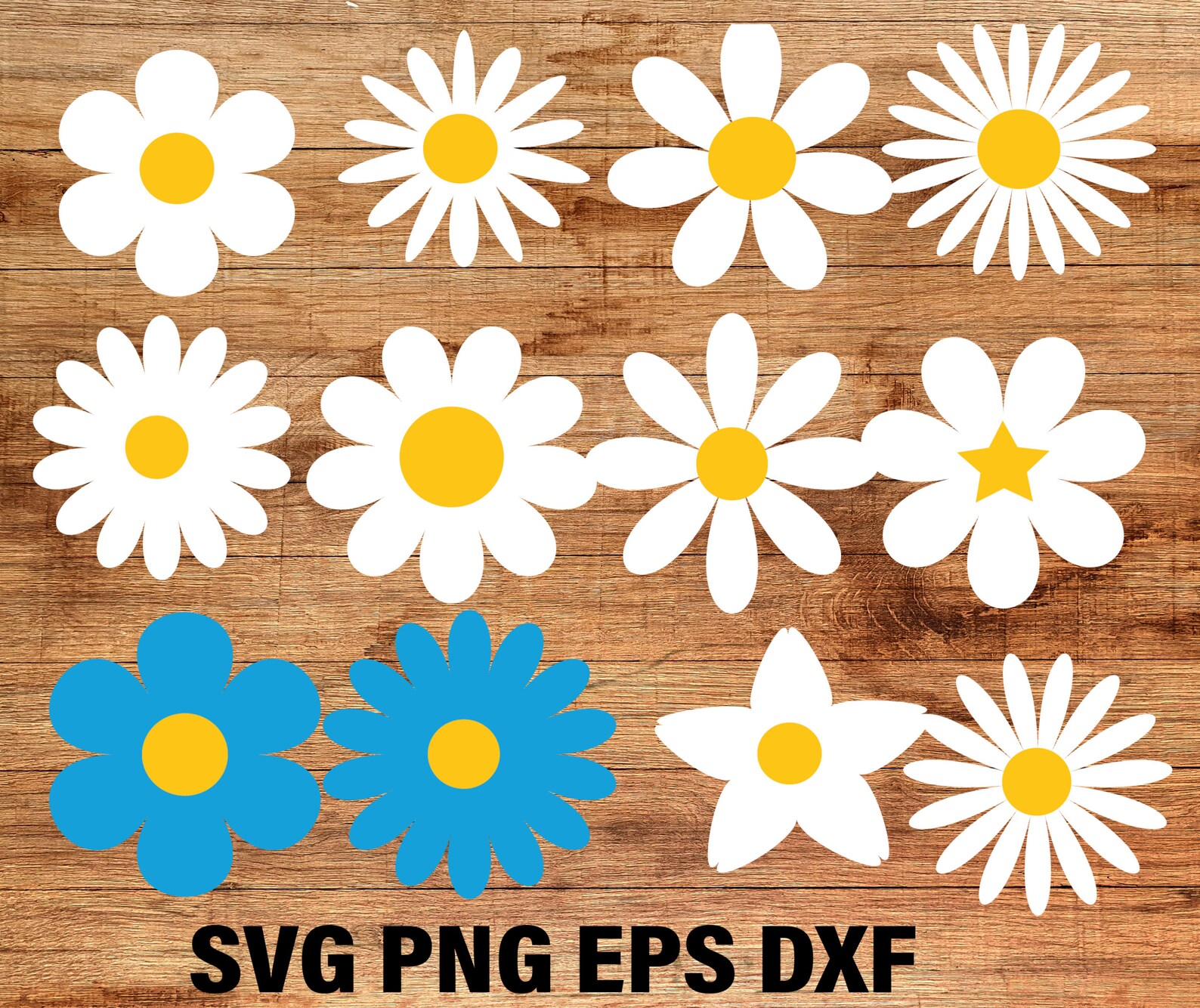 Daisy Svg Bundle, Flower Svg Files for Cricut,spring,summer, Clipart ...