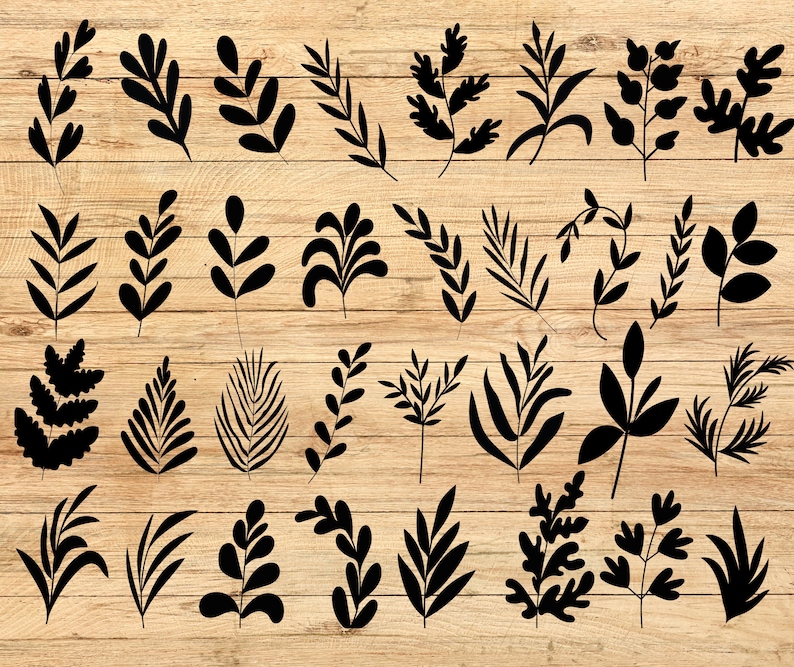 Hojas SVG hojas dibujadas a mano SVG rama svg archivos de - Etsy México