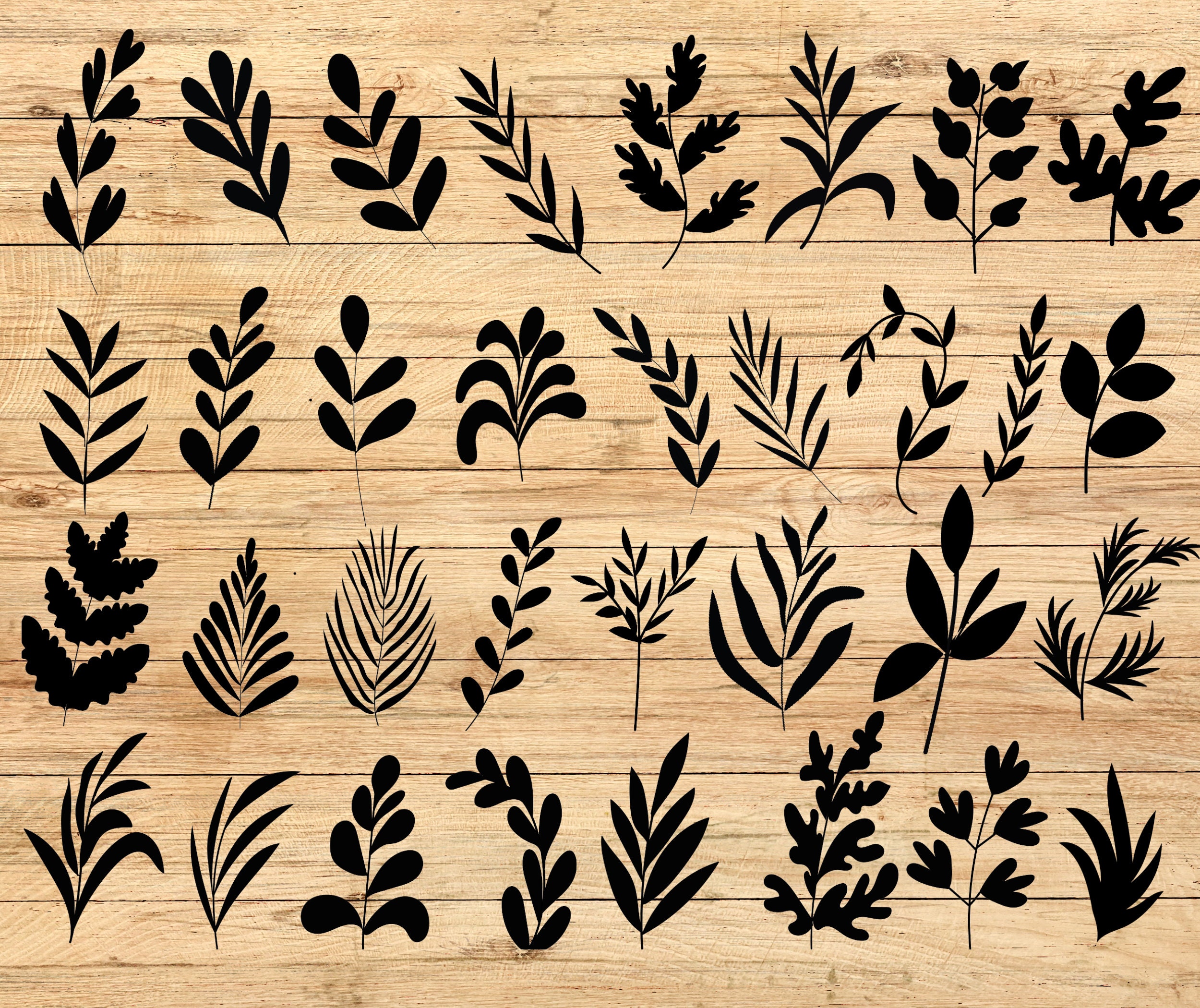 Hojas SVG hojas dibujadas a mano SVG rama svg archivos de - Etsy México