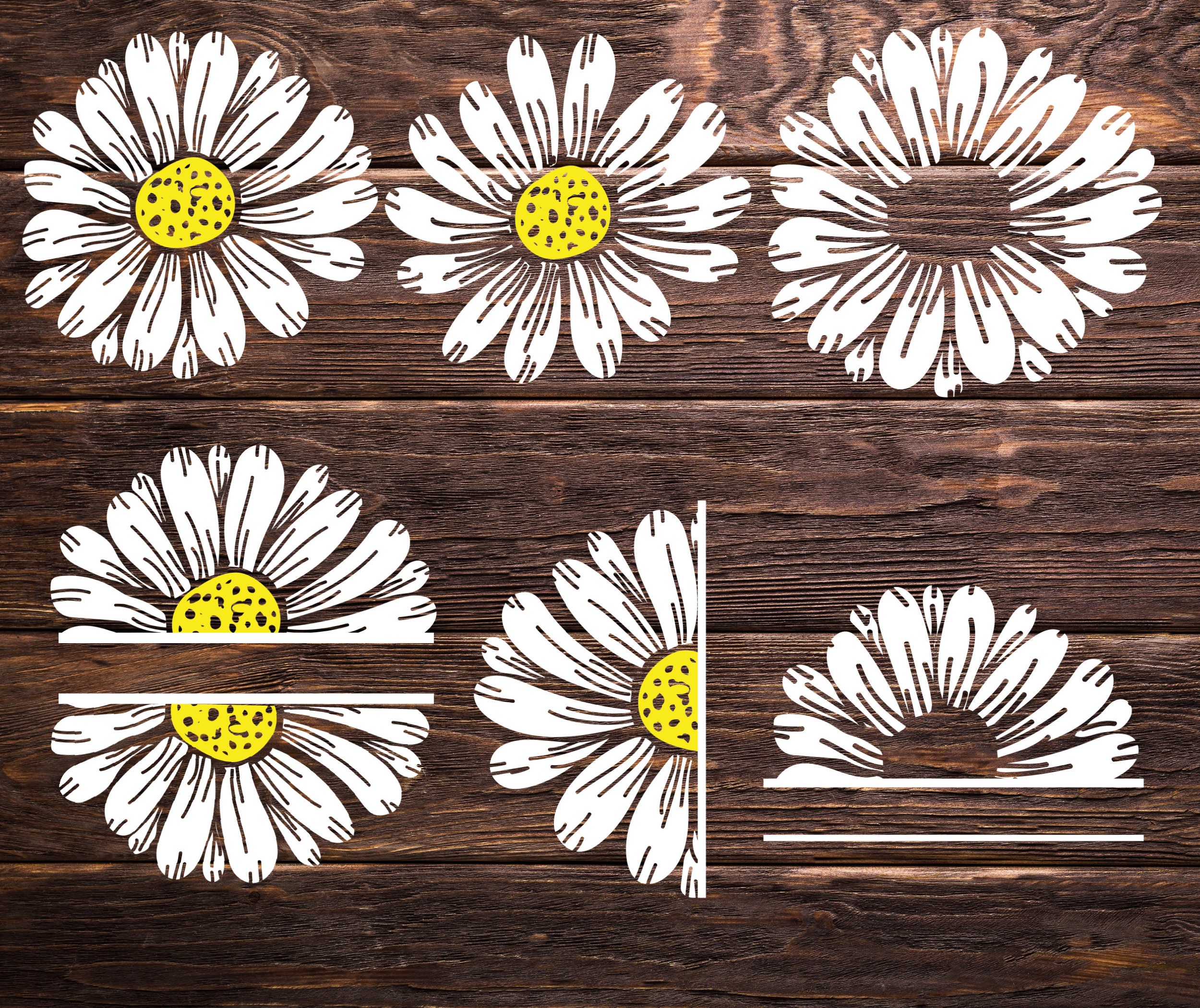 Daisy Svg, Daisy Split Svg,daisy Png, Simple Daisy Svg, Daisy Monogram ...