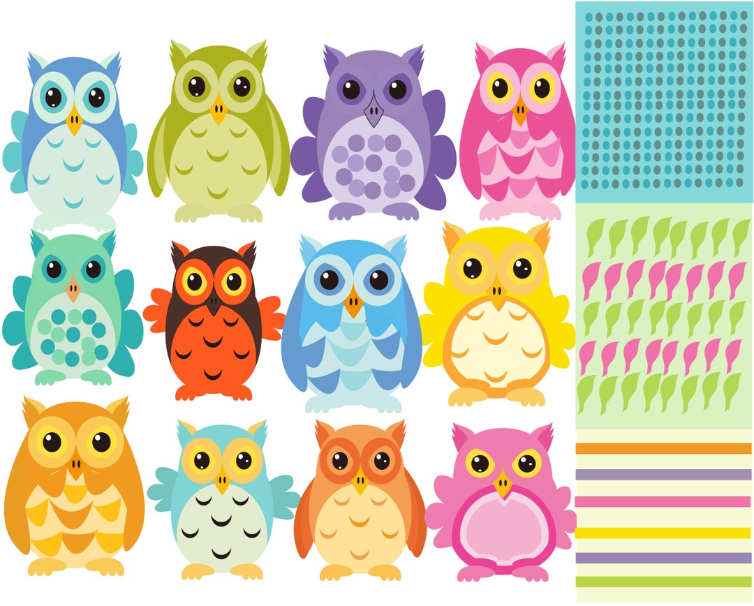 Owl Clipart - OWL FRIENDS Bright Colors,digital Paper and Clip Art Set ...